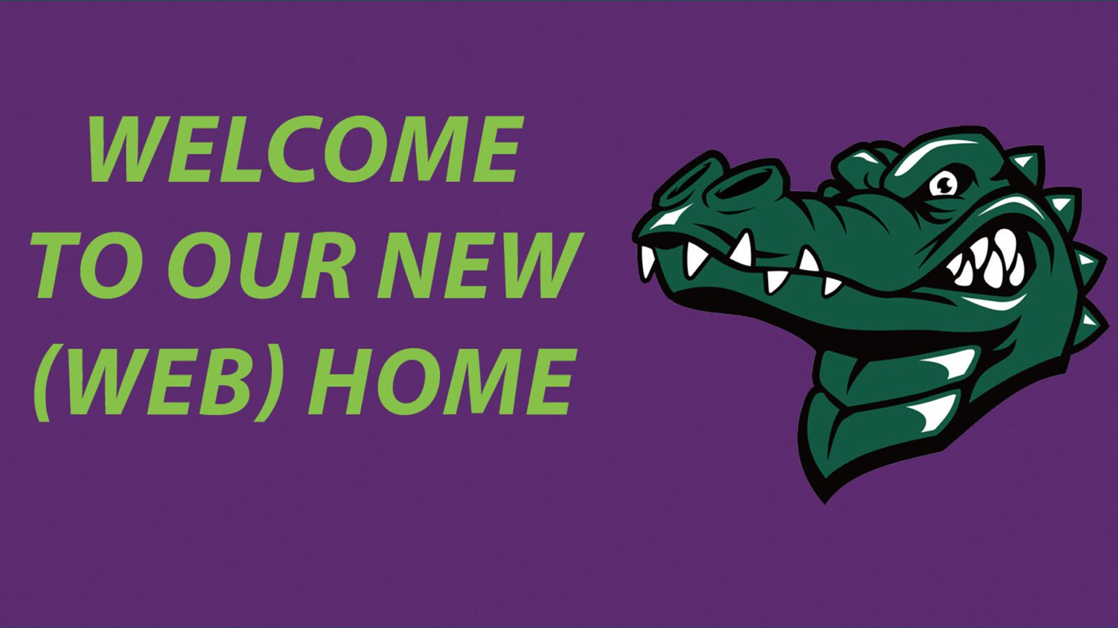 There's A New Athletics Website - Virginia Peninsula Community College